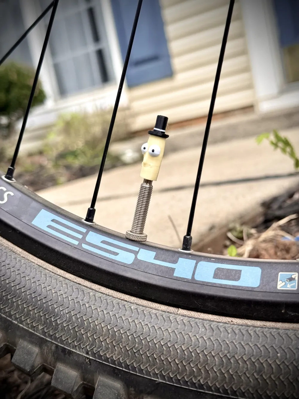 Rick And Morty Valve Caps Set-Multiple Characters! by ShapeShift 3D ...