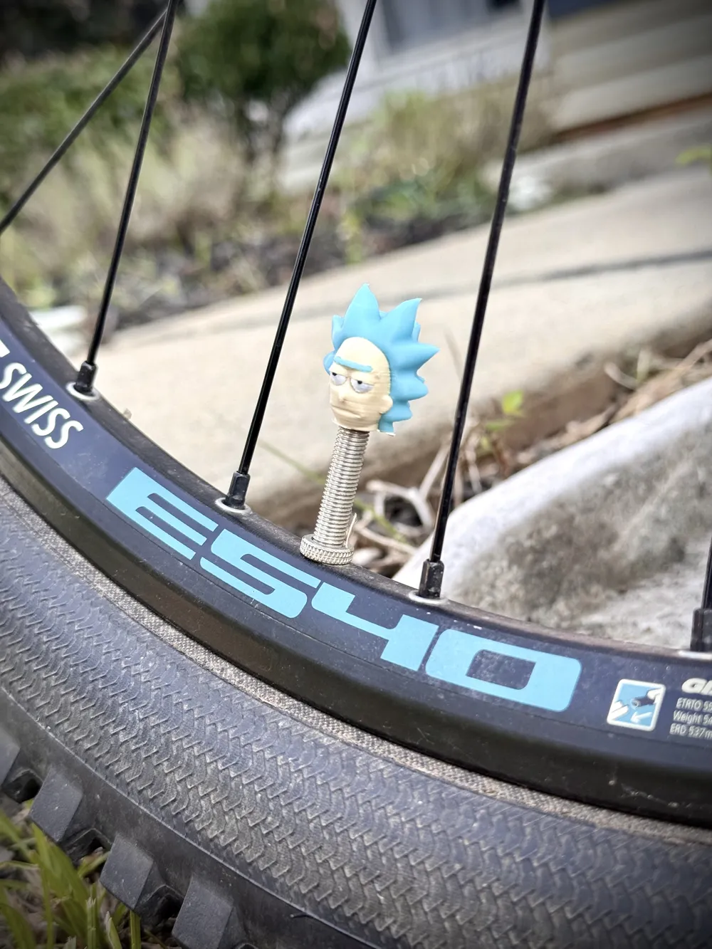 Rick And Morty Valve Caps Set-Multiple Characters! by ShapeShift 3D ...