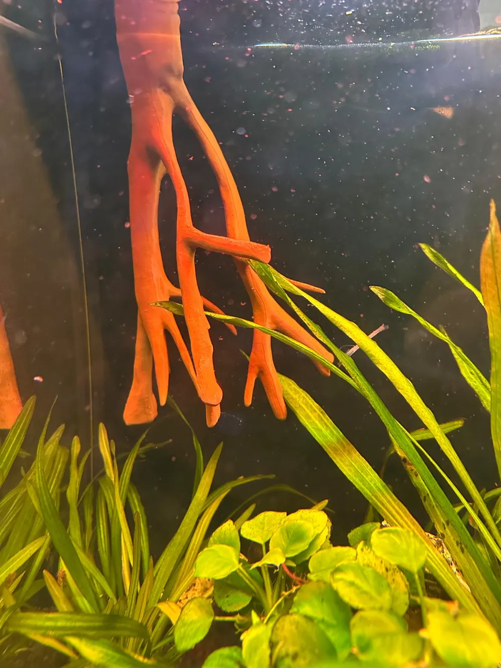 Aquarium Root by Wüstenfuchs MakerWorld: Download Free 3D Models