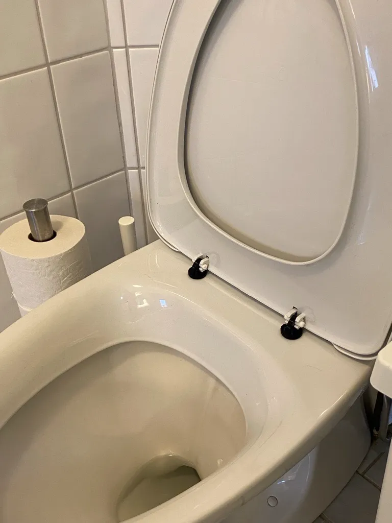 Fixing plug for WC by Jonatan - MakerWorld