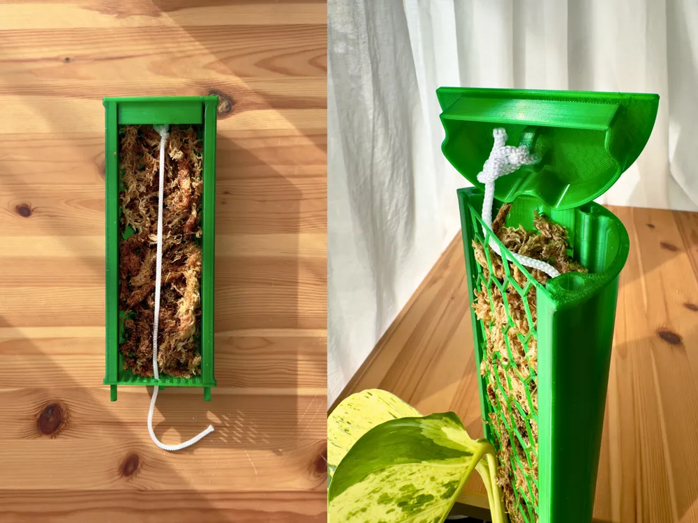 Bamboo Moss Pole (Wick Watering Attachment) by MochPoch MakerWorld ...