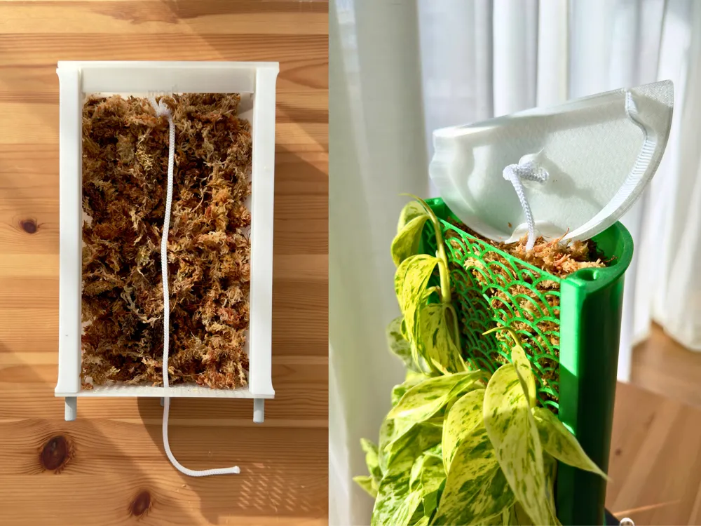 Bamboo Moss Pole (Wick Watering Attachment) by MochPoch MakerWorld ...