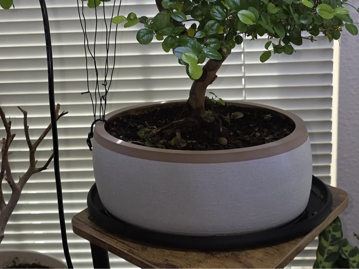Minimalist Bonsai Pot Planter - Free 3D Print Model - MakerWorld