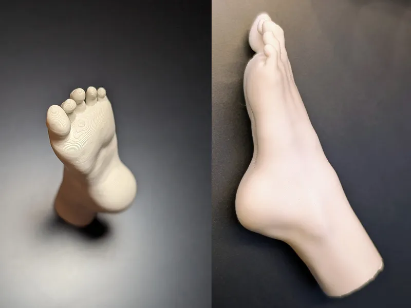 Human female foot - Realistic Foot - Free 3D Print Model - MakerWorld