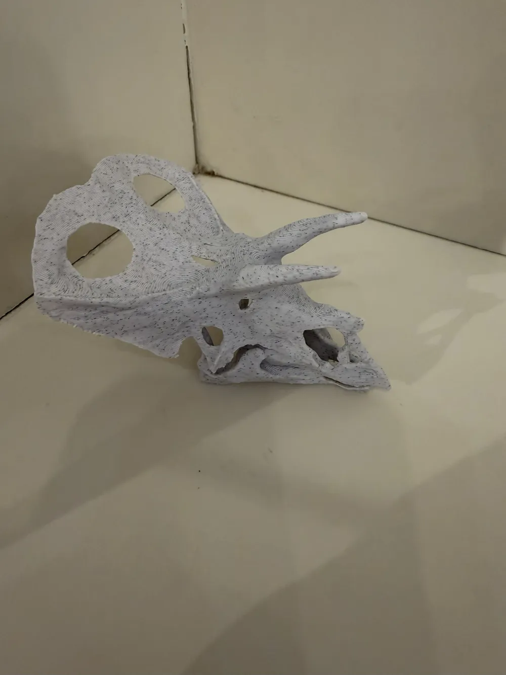 Torosaurus Skull - Free 3D Print Model - MakerWorld