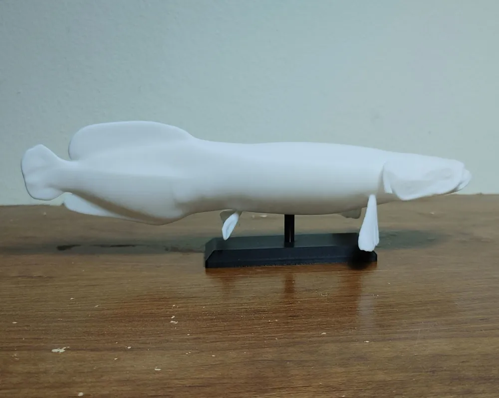 Arapaima Fish Mount - Free 3D Print Model - MakerWorld