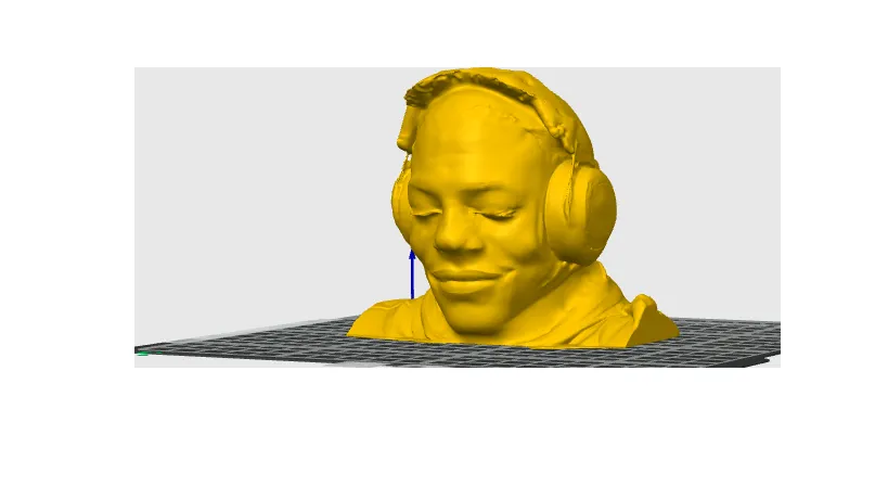 IShowSpeed My Mom Is Kinda Homeless Face Bust - Free 3D Print Model ...