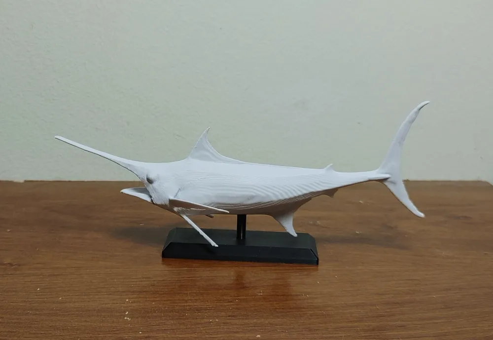 Marlin Fish Mount by Fish Prints MakerWorld: Download Free 3D Models