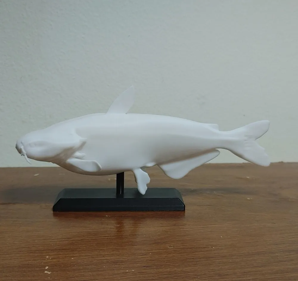 Blue Catfish Mount by Fish Prints MakerWorld: Download Free 3D Models