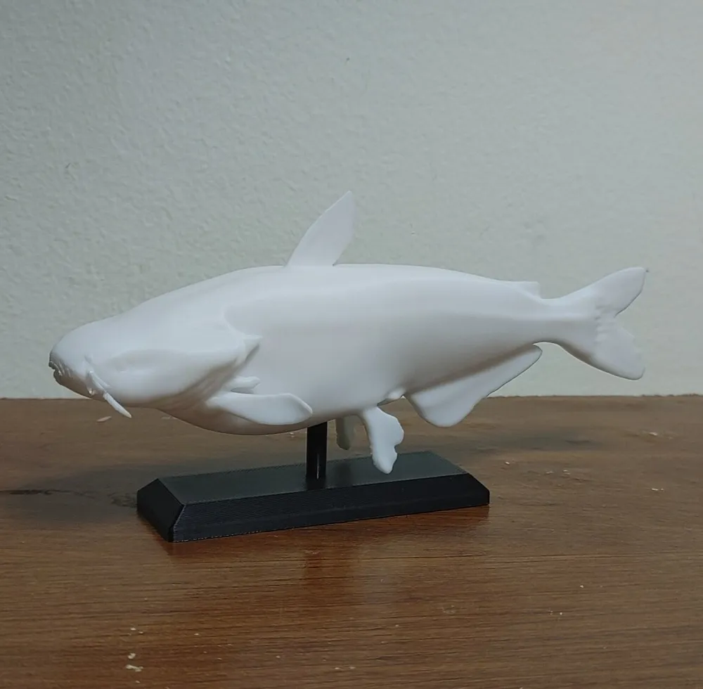 Blue Catfish Mount by Fish Prints MakerWorld: Download Free 3D Models