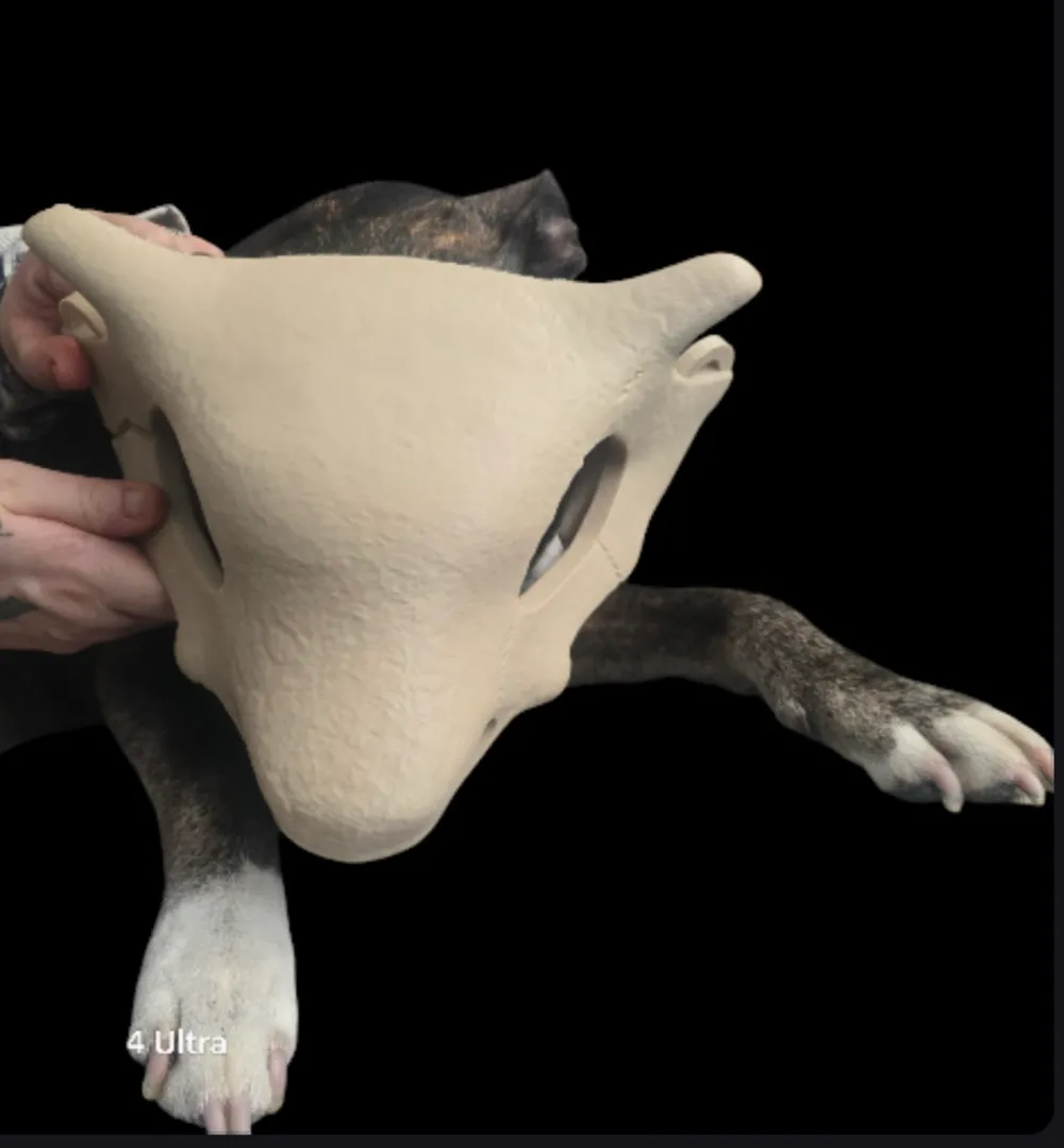 cubone dog mask animal by K&A3DPRINTS MakerWorld: Download Free 3D Models