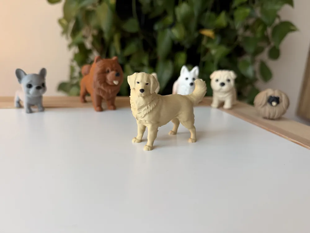 Golden Retriever – Kostenloses 3D-Druckmodell – MakerWorld
