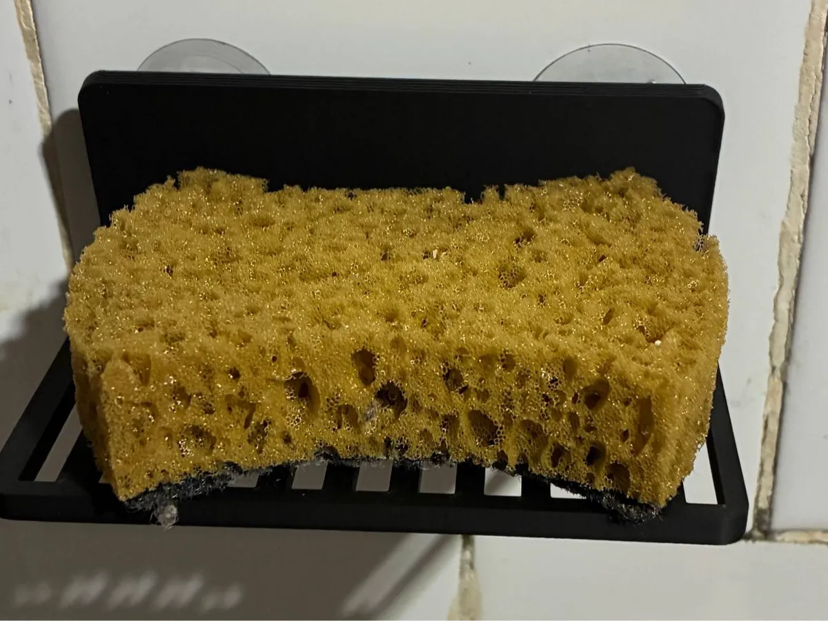 双吸盘肥皂/海绵架 - 免费 3D 打印模型 - MakerWorld