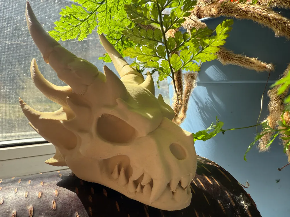 Ancient Wyrm Skull – 3D Printed Dragon Relic by Ill Kind Designs ...