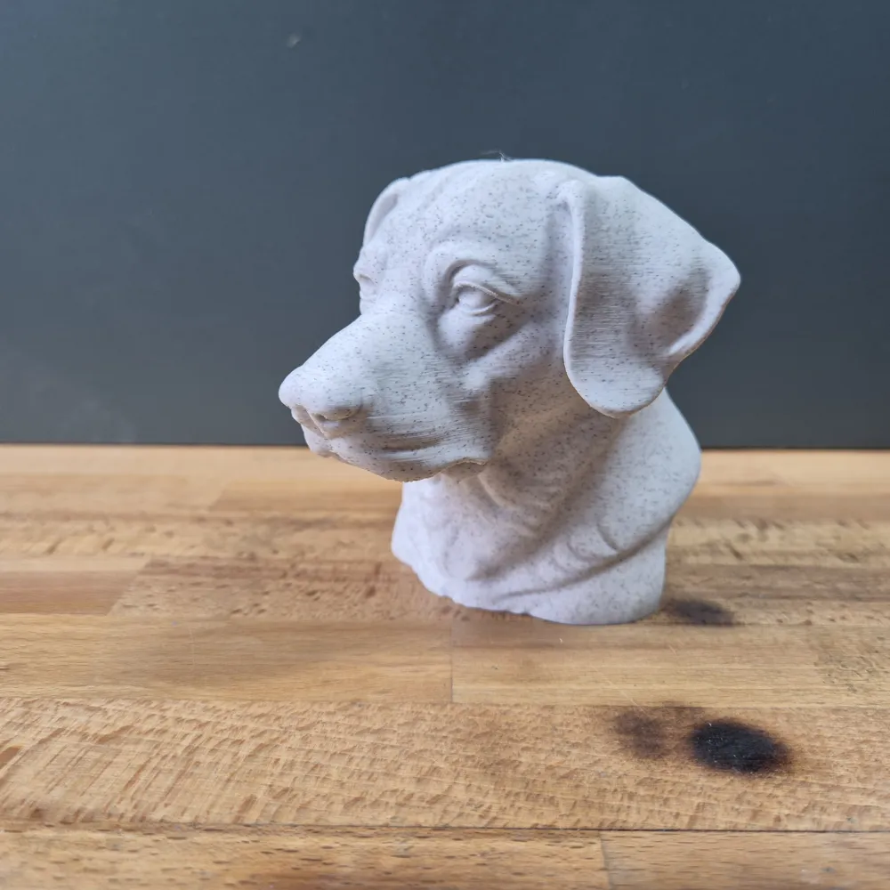 Entlebucher Mountain Dog Bust by Mr.Jay MakerWorld: Download Free 3D Models