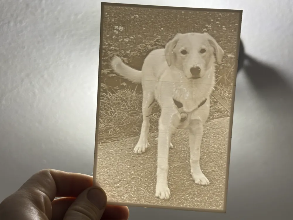 Lithophane Dog by Pascal Slama - MakerWorld