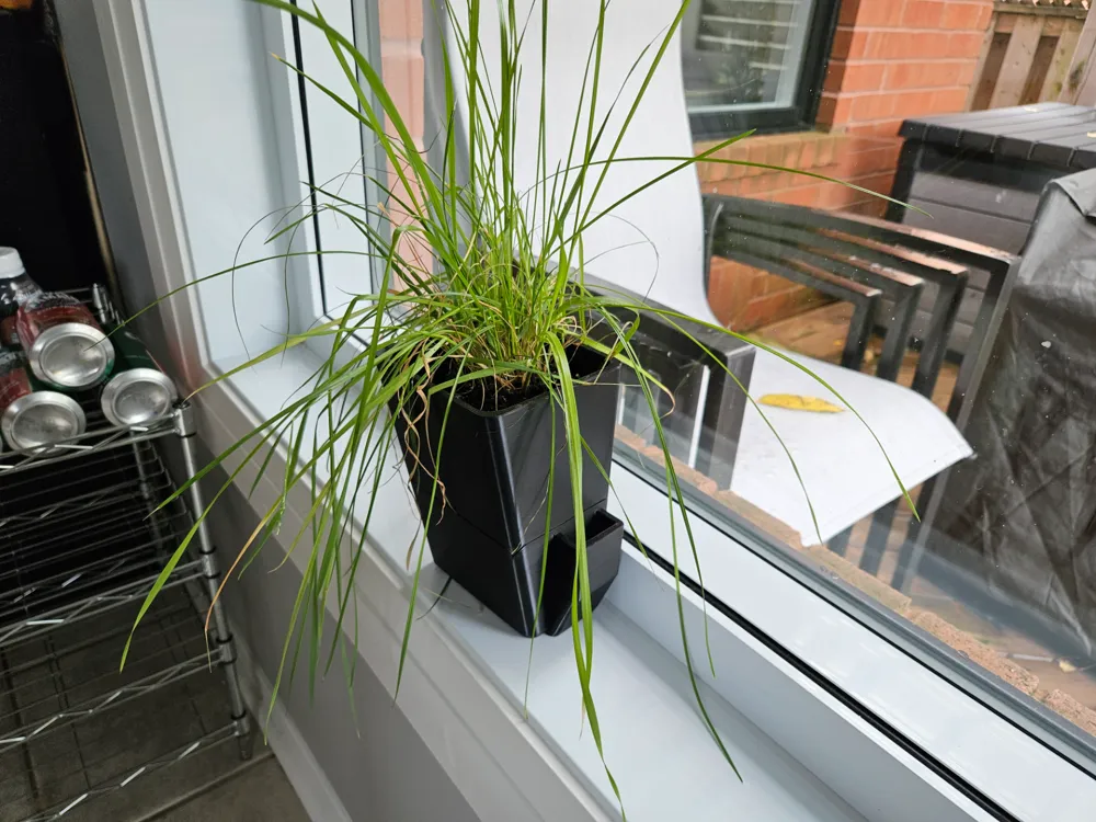 Self-Watering Flower Pot - Made for Window Sills by Nyg By Design ...