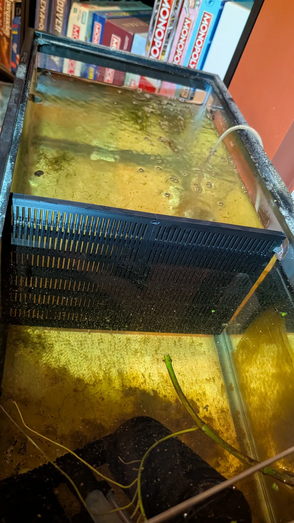 Aquarium Divider for 20gallon long fish tank - Free 3D Print Model ...