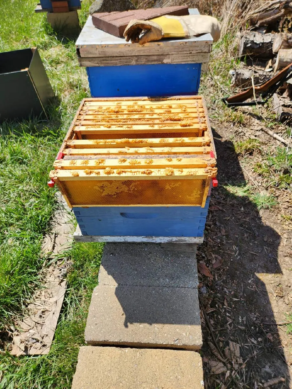 Bee Keeper Frame Holder by Jeff Smith - MakerWorld