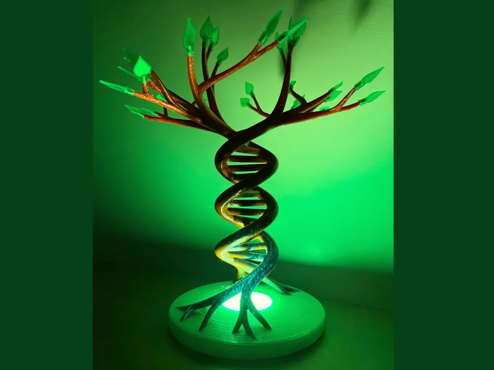 DNA Tree Of Life Double Helix Lamp Kit MH001 扶桑 by ThreeLittleBirds 3D ...