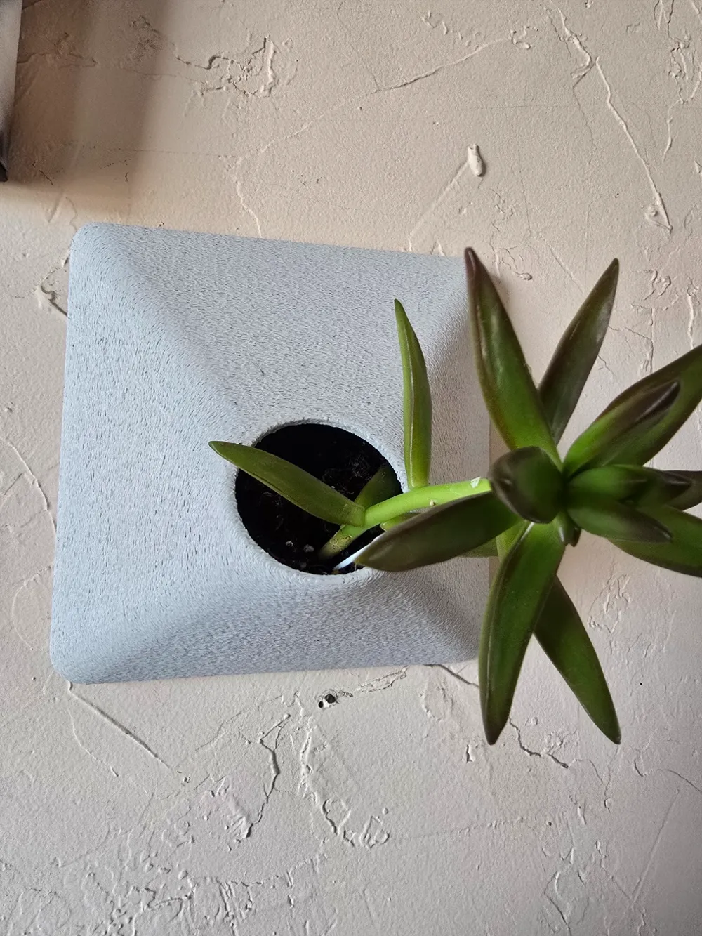 Minimalist Wall Hanging Planter by Echo Forms MakerWorld: Download Free ...