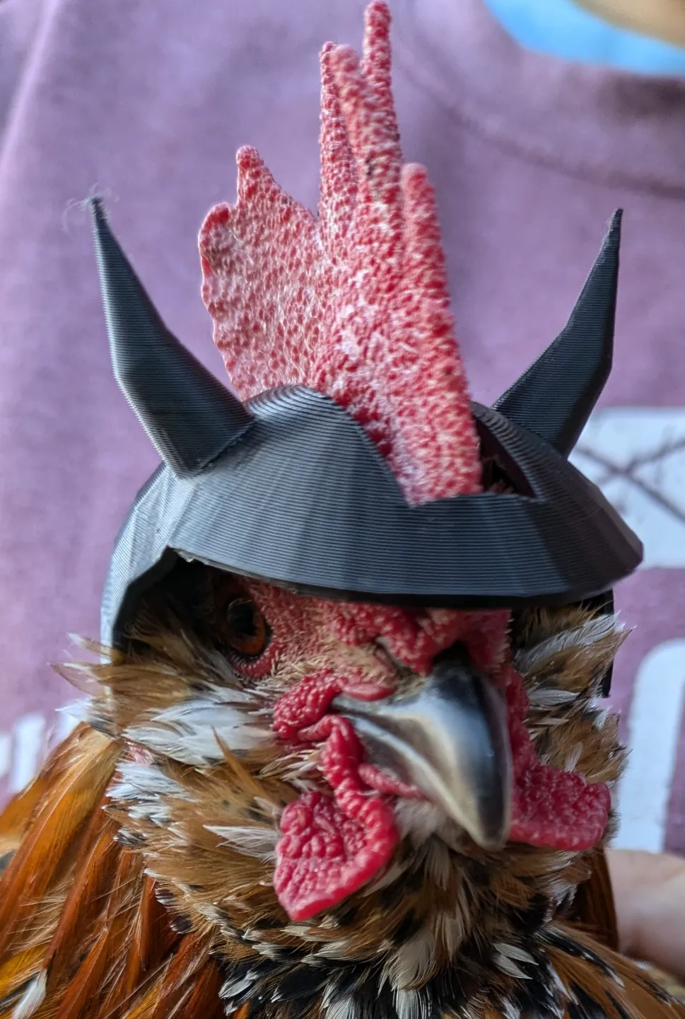 Chicken Helmet - Free 3D Print Model - MakerWorld