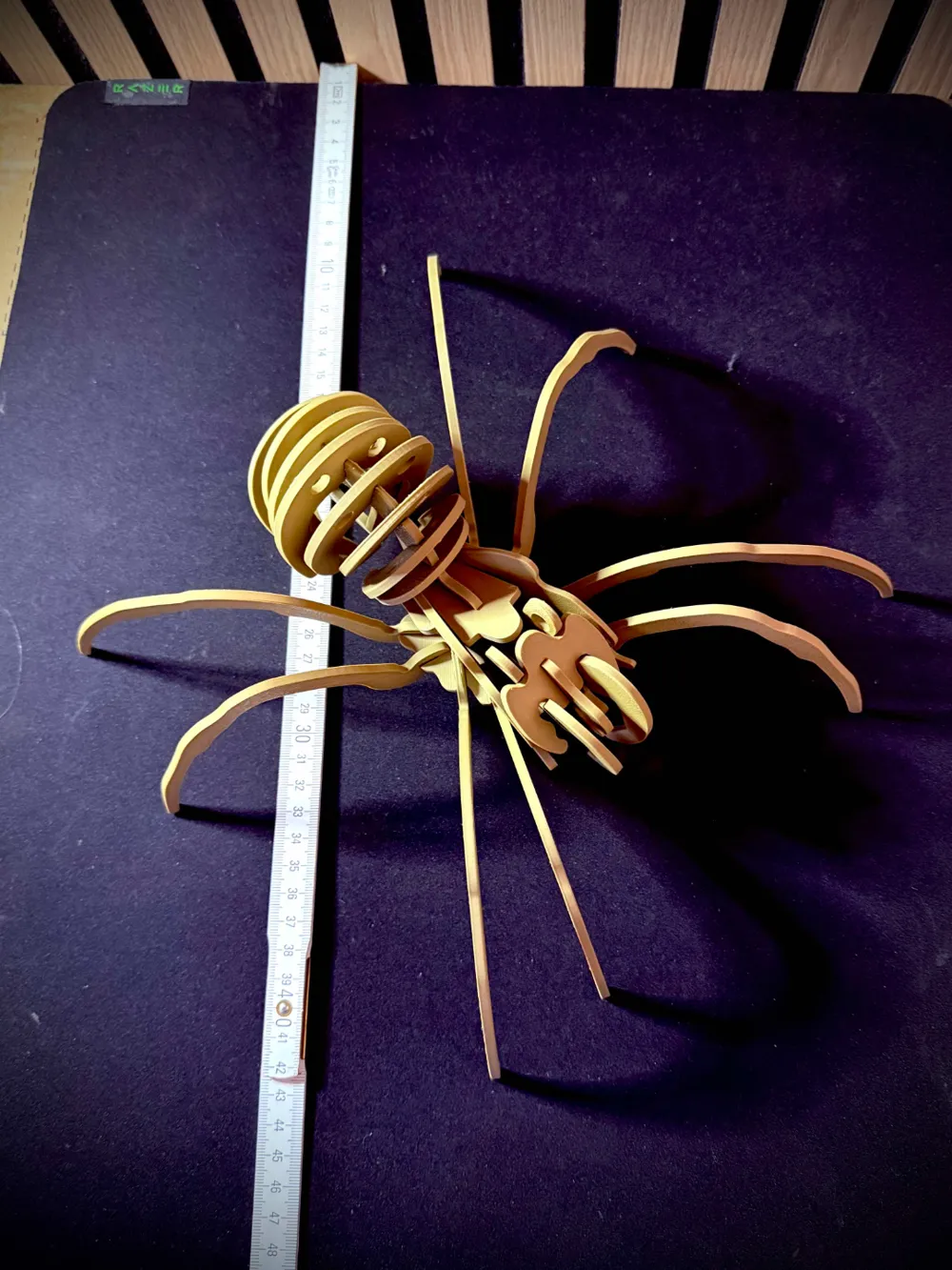 Spider 3D Puzzle by EverythingWargaming - MakerWorld