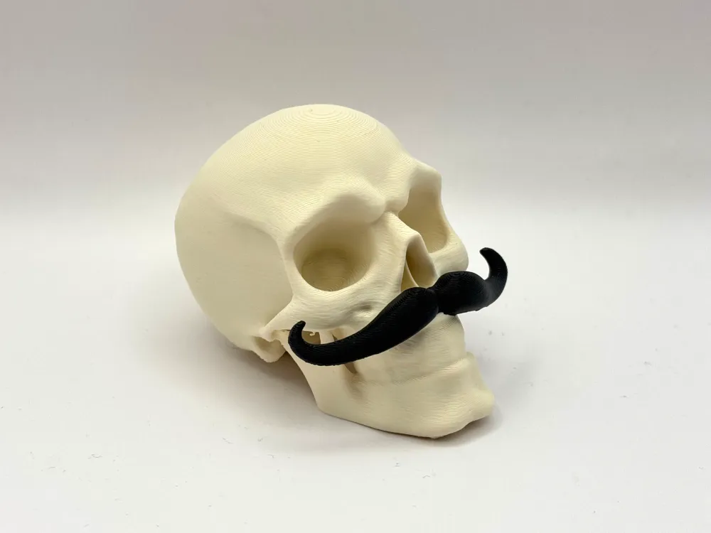 Skull with Mustache by Stigern MakerWorld: Download Free 3D Models
