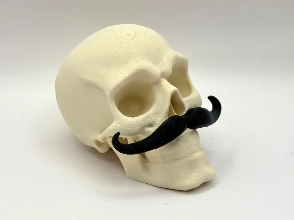 Skull with Mustache by Stigern MakerWorld: Download Free 3D Models