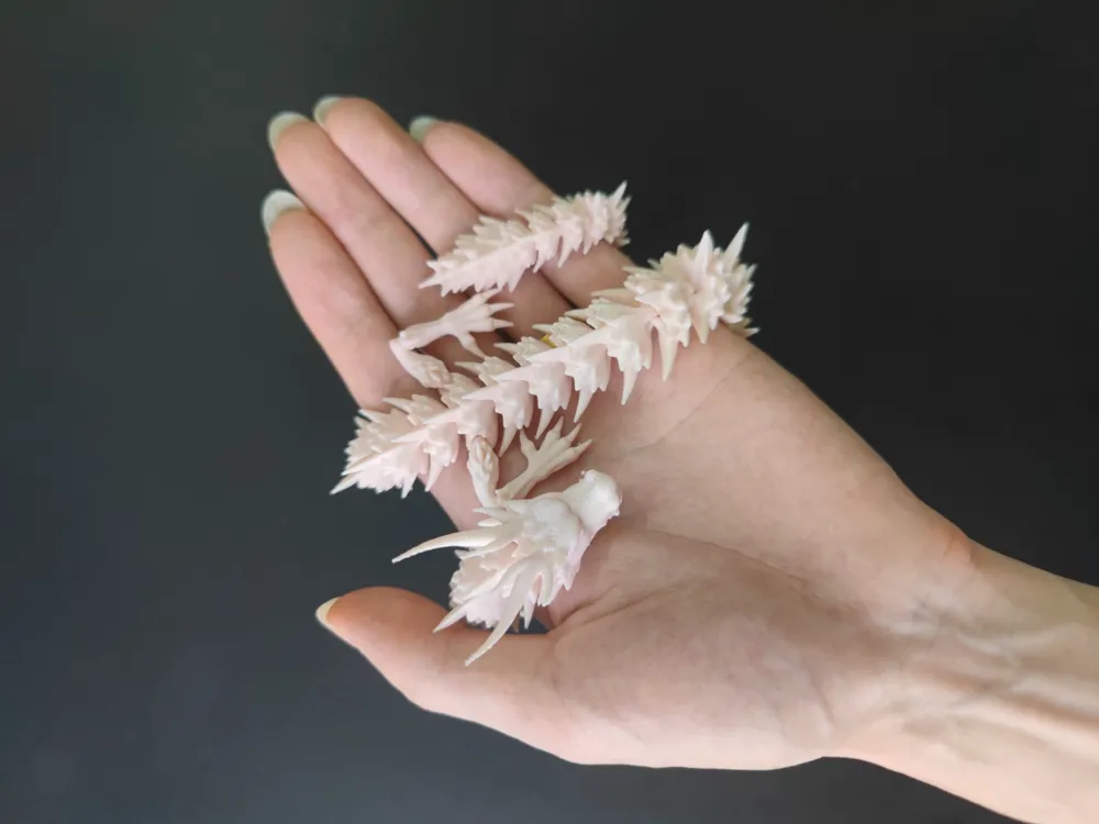 A little white dragon - MakerWorld 3D Model | 3Drop