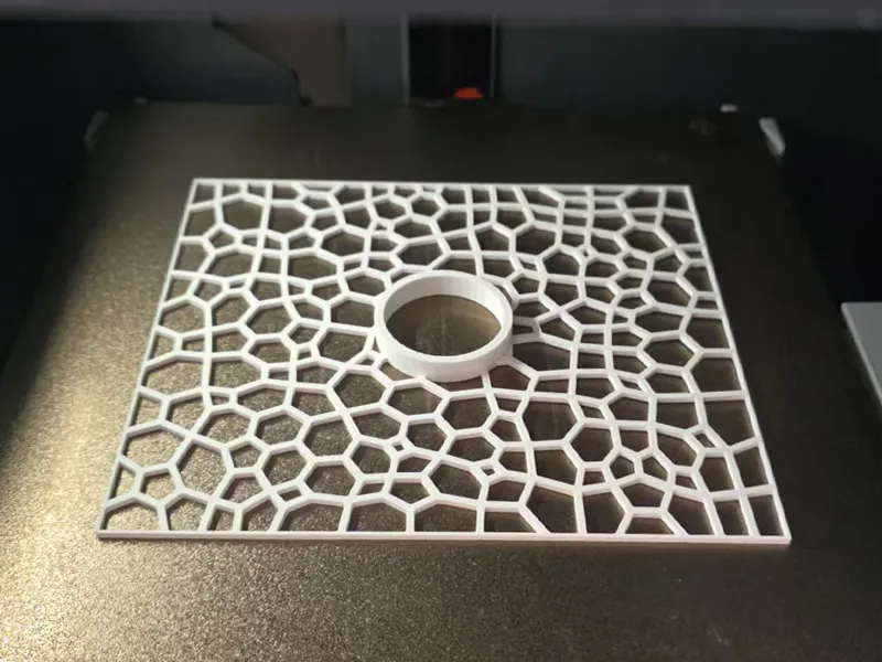 Aquarium strawberry cultivation hydroponic plants aquascaping ...