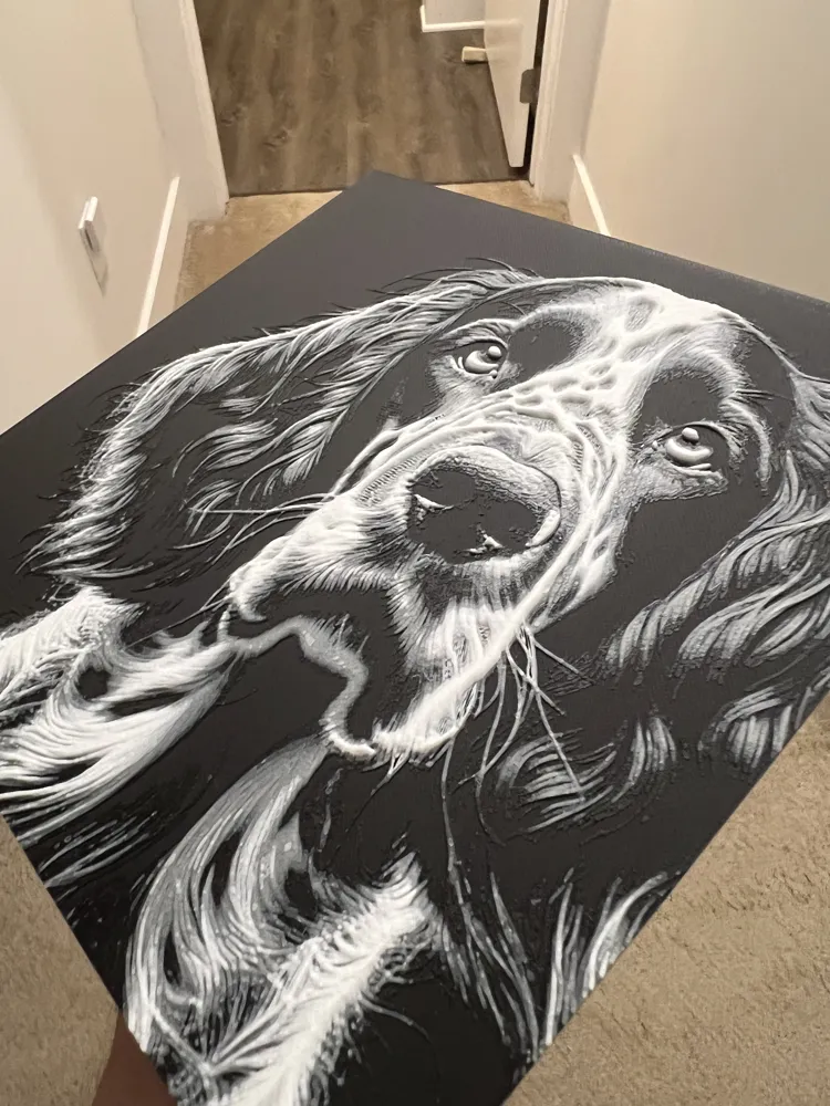 English Setter Dog Face Hueforge by RP47 Designs - MakerWorld
