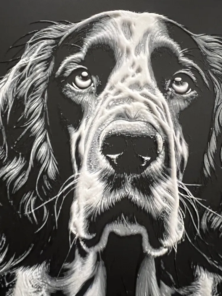 English Setter Dog Face Hueforge - Free 3D Print Model - MakerWorld