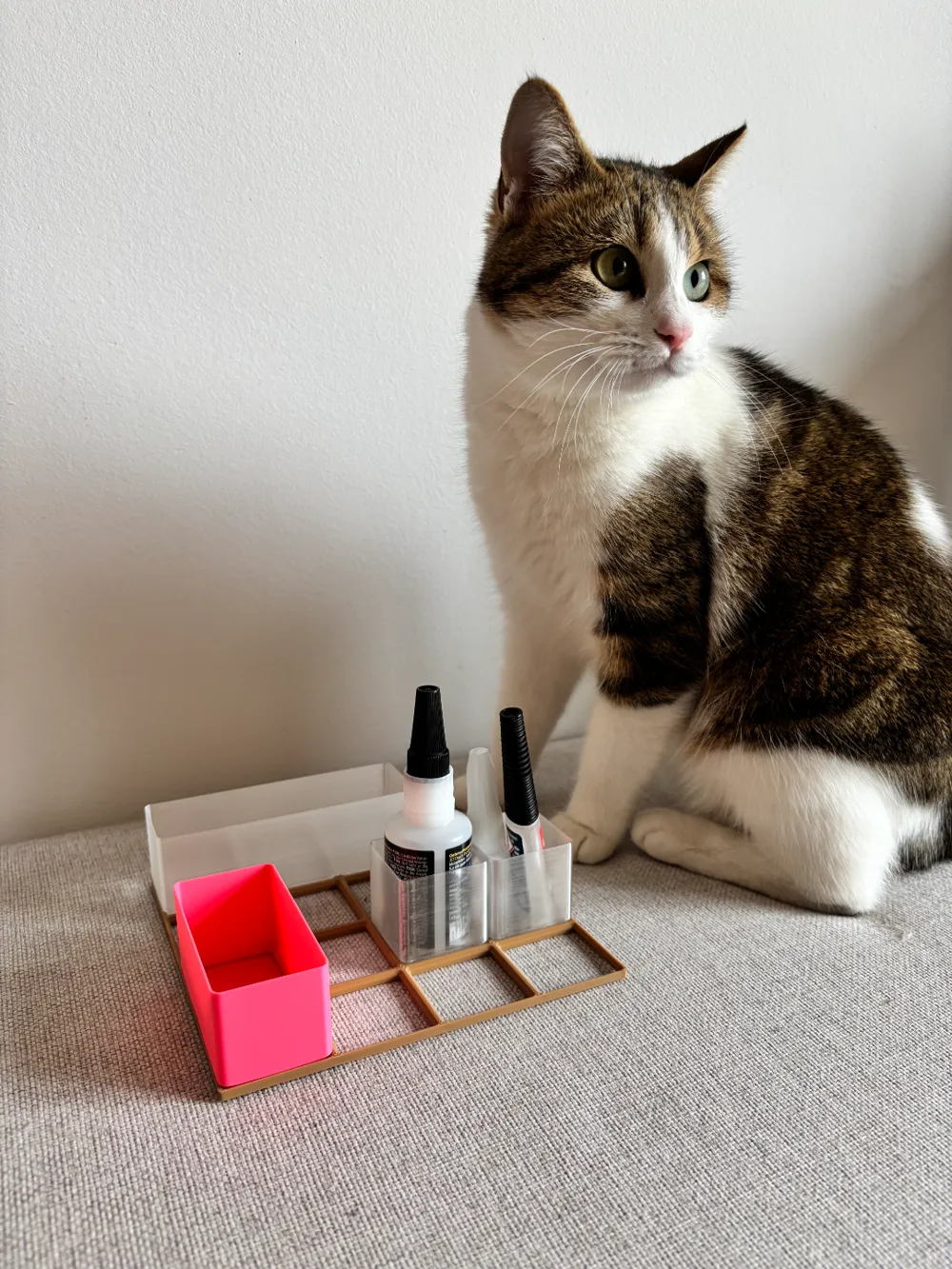 GridFinity set Ultra Super Light by alino_57 MakerWorld: Download Free ...