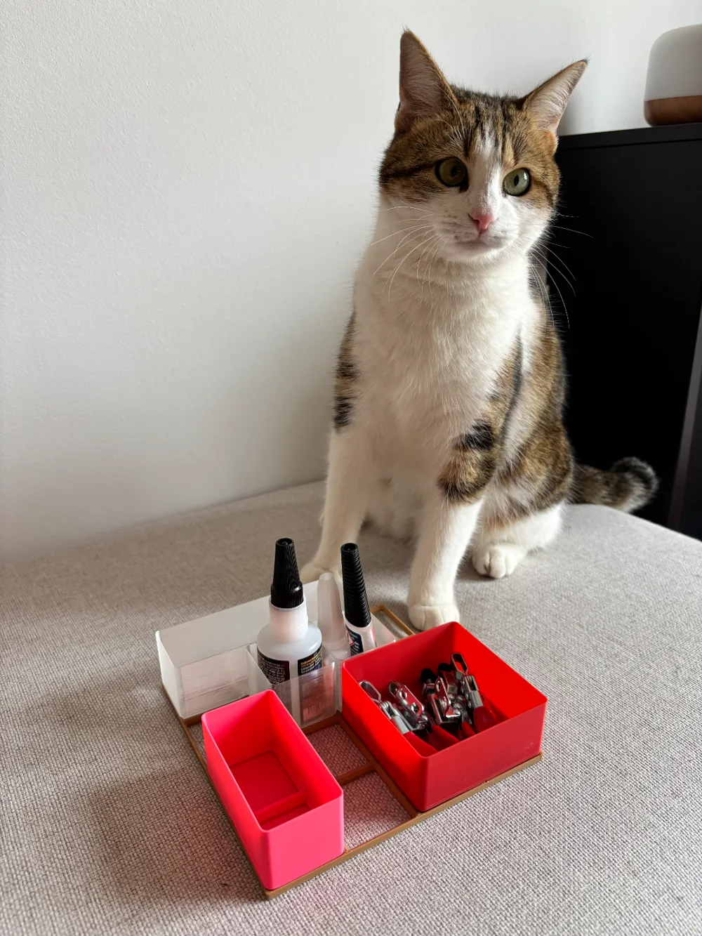 GridFinity set Ultra Super Light by alino_57 MakerWorld: Download Free ...