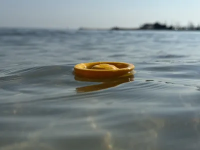 AquaFlyer: The Ultimate Floating Mini Frisbee by 3D KIMBA MakerWorld ...