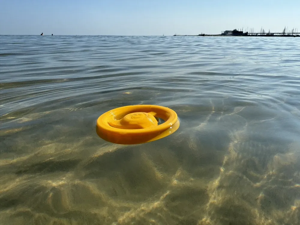 AquaFlyer: The Ultimate Floating Mini Frisbee - Free 3D Print Model ...
