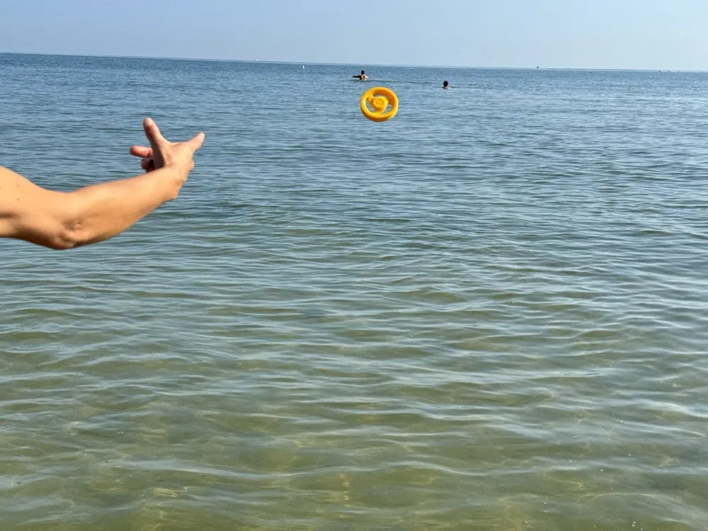 AquaFlyer: The Ultimate Floating Mini Frisbee - Free 3D Print Model ...