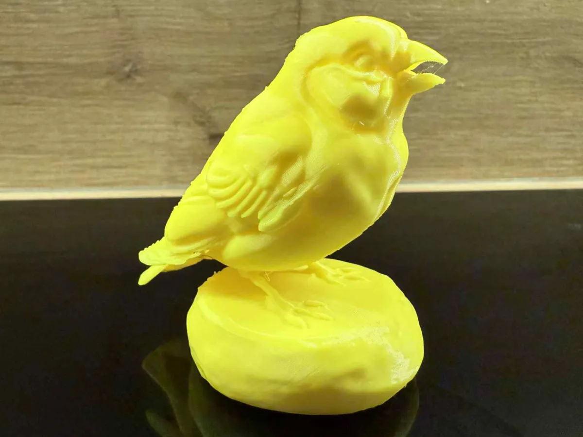 Sunshine canary - Free 3D Print Model - MakerWorld