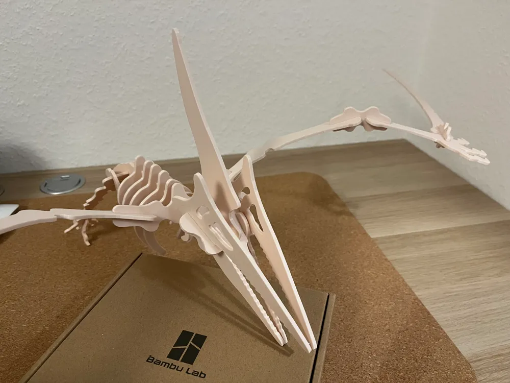 Pteranodon 3D Puzzle by Scubafan MakerWorld: Download Free 3D Models