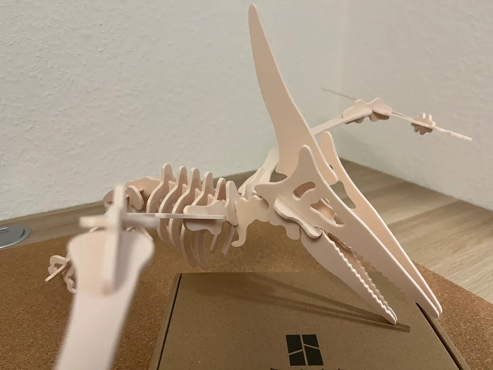 Pteranodon 3D Puzzle by Scubafan MakerWorld: Download Free 3D Models