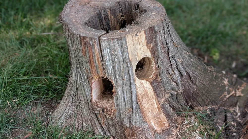 Fairy House Window and Door - Free 3D Print Model - MakerWorld
