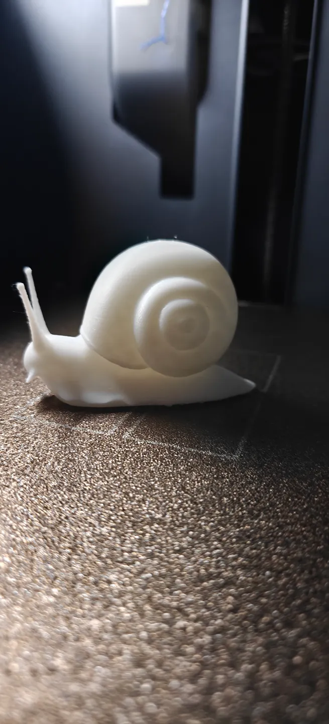 Sculpture d'un escargot par VirtuPrinto - MakerWorld