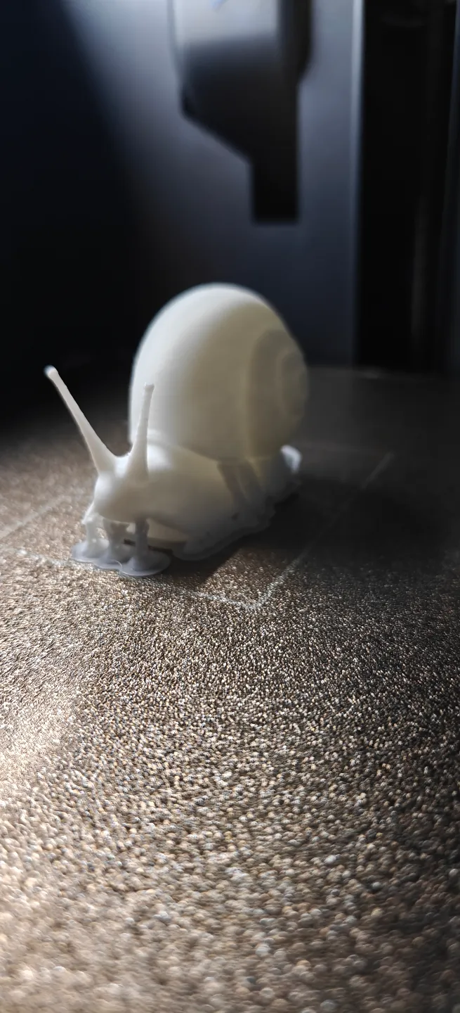 Sculpture d'un escargot par VirtuPrinto - MakerWorld