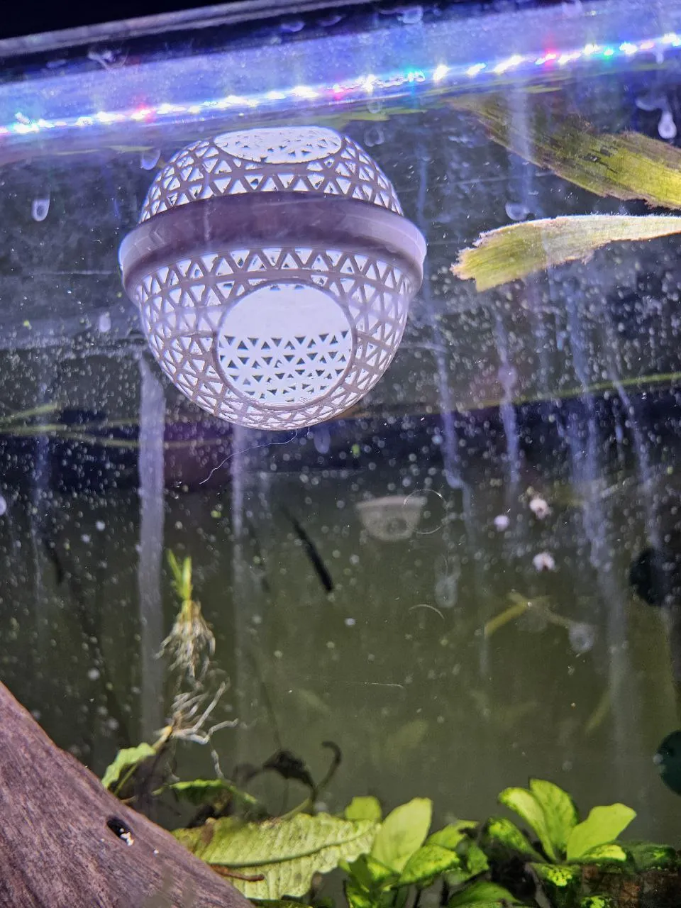 betta fish resting float - Free 3D Print Model - MakerWorld