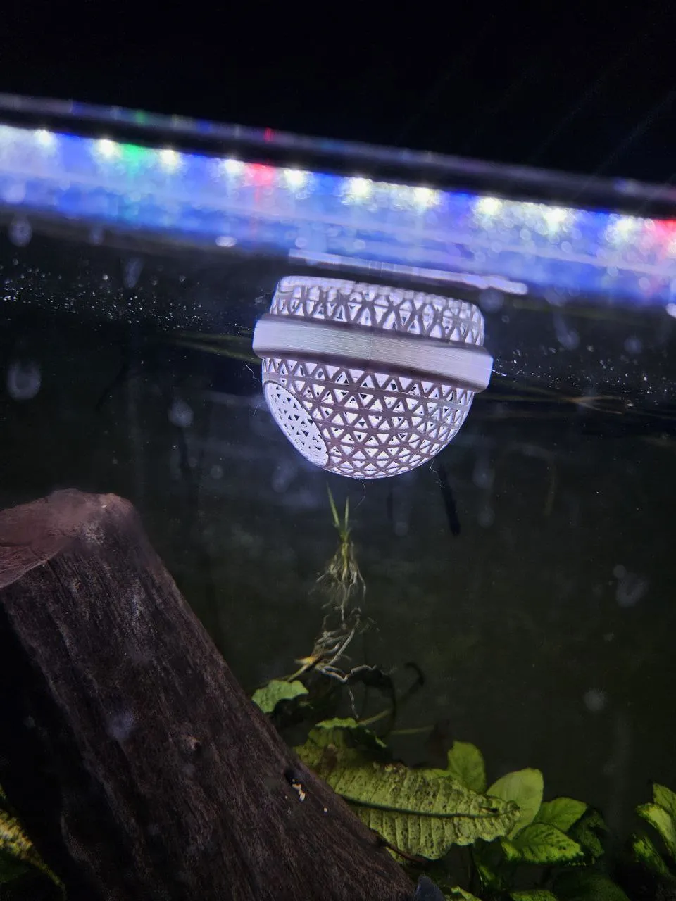 betta fish resting float - Free 3D Print Model - MakerWorld