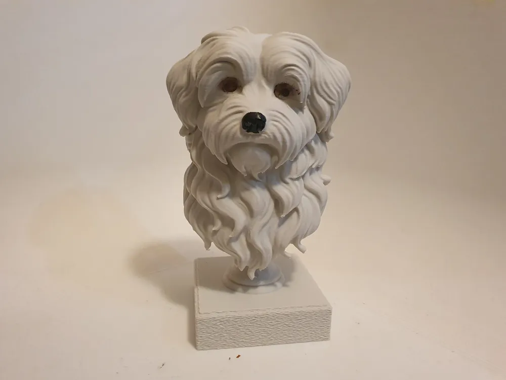 Maltese Bust by Staffbull_love MakerWorld: Download Free 3D Models