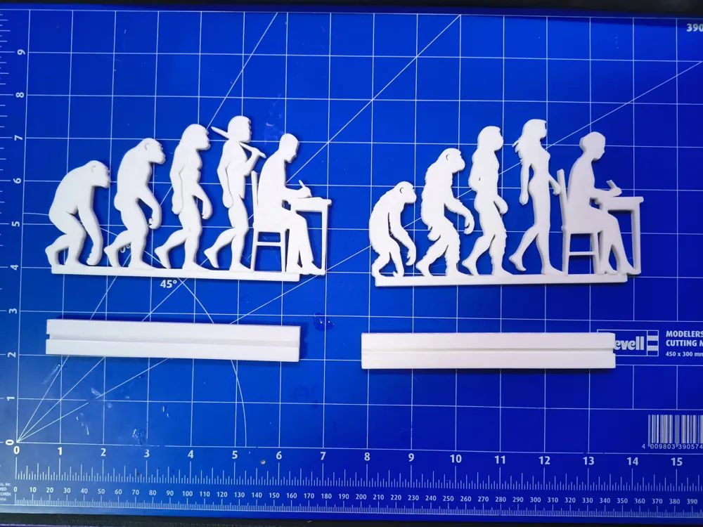 Human Evolution – From Ape to Writer Male & Female by ccrccrdk ...