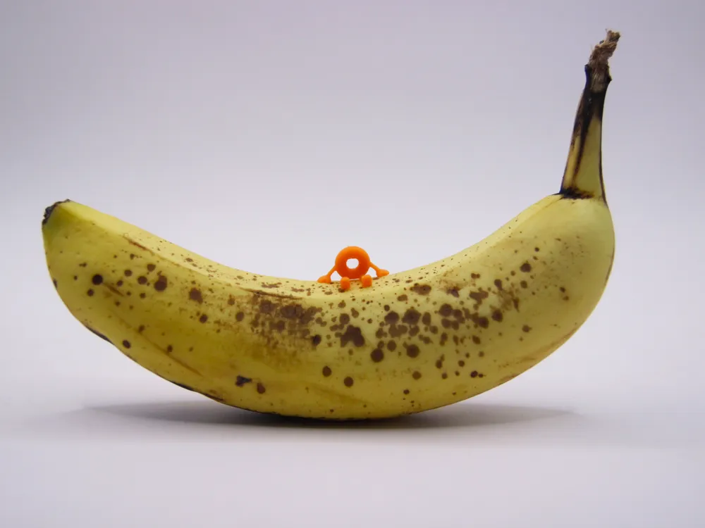 Mini Donut Buddy by Little Mac Designs - MakerWorld