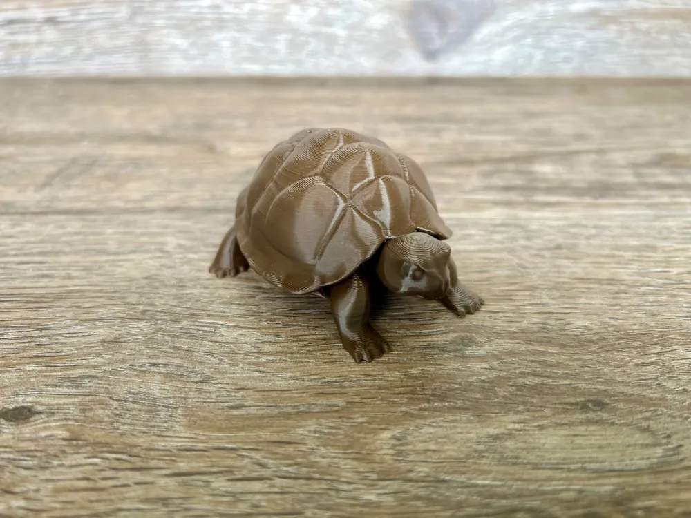 Tortoise Figurine (Detailed) by KaBooM - MakerWorld